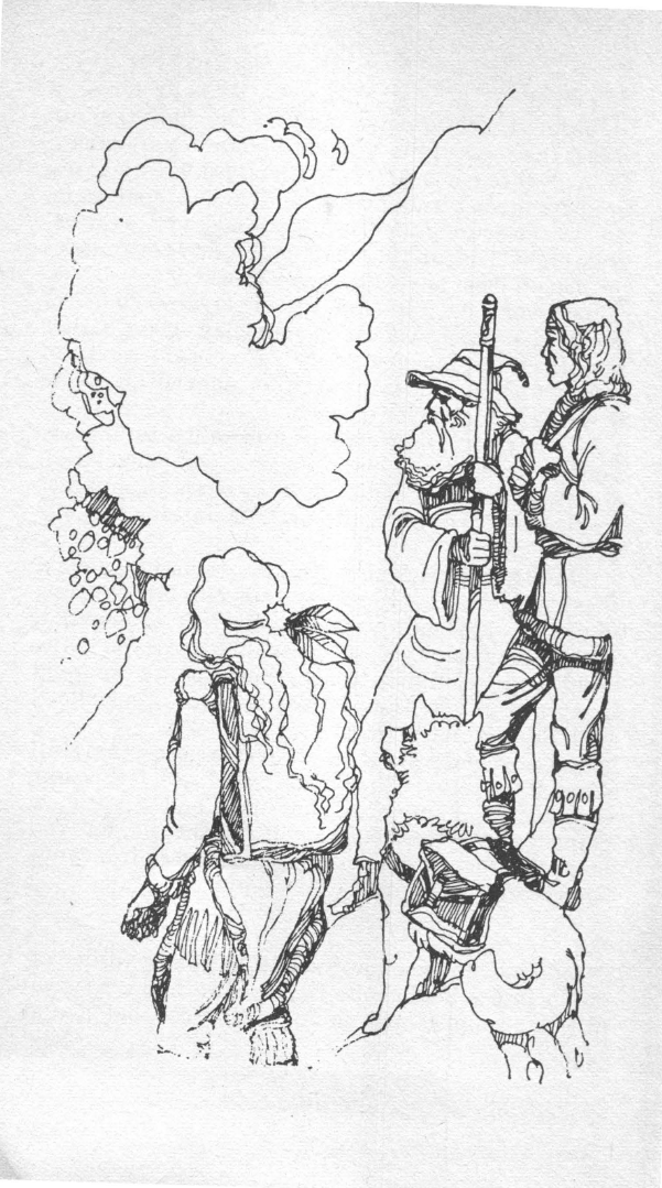 492.1. Diana Magnuson – Illustrations for Advanced Dungeons & Dragons ...